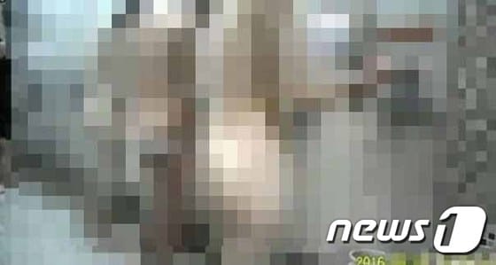 워터파크 몰카 동영상 때문에…에버랜드 노심초사 뉴스1