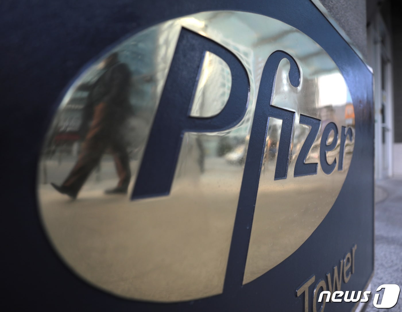 화이자, 항암신약 1상 중단…'STING 소분자 치료제→ADC' 가속 - 뉴스1