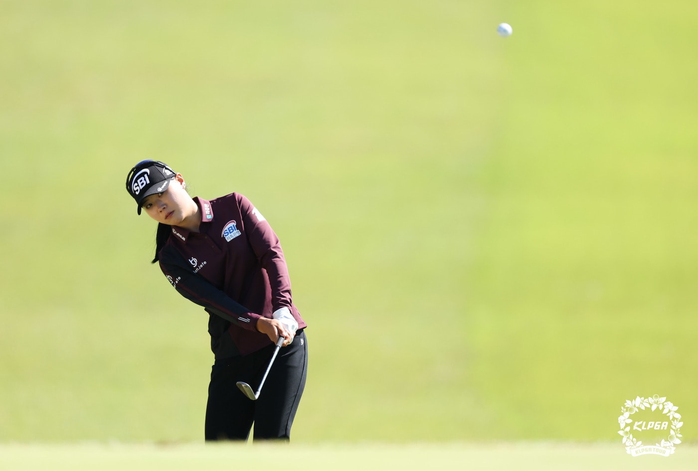 이소미·배소현, KLPGA SK네트웍스-서울경제 레이디스 클래식 2R 공동 선두 - 뉴스1