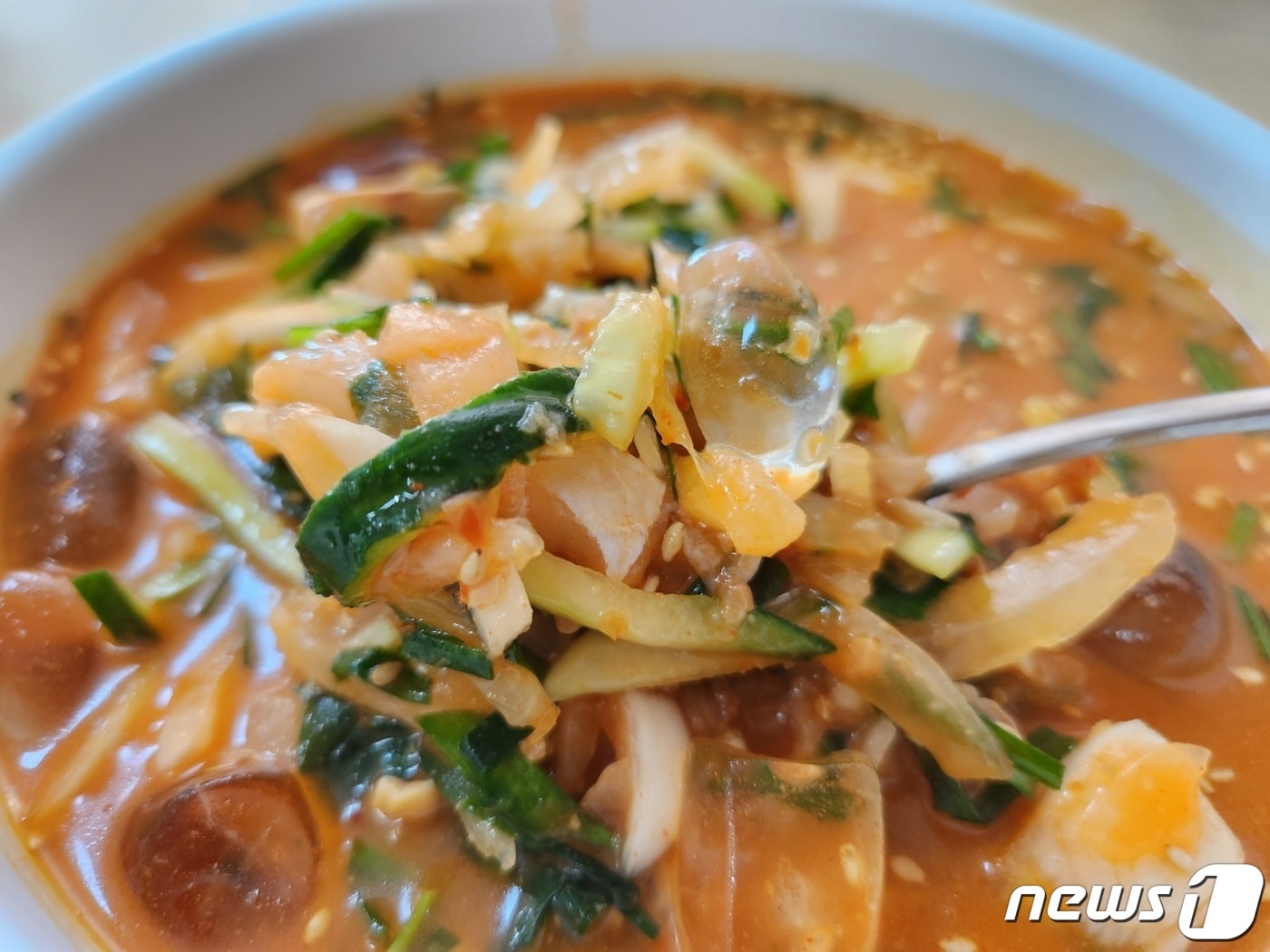 한치·자리물회만 있나?…진짜 별미는 옥돔물회 - 뉴스1