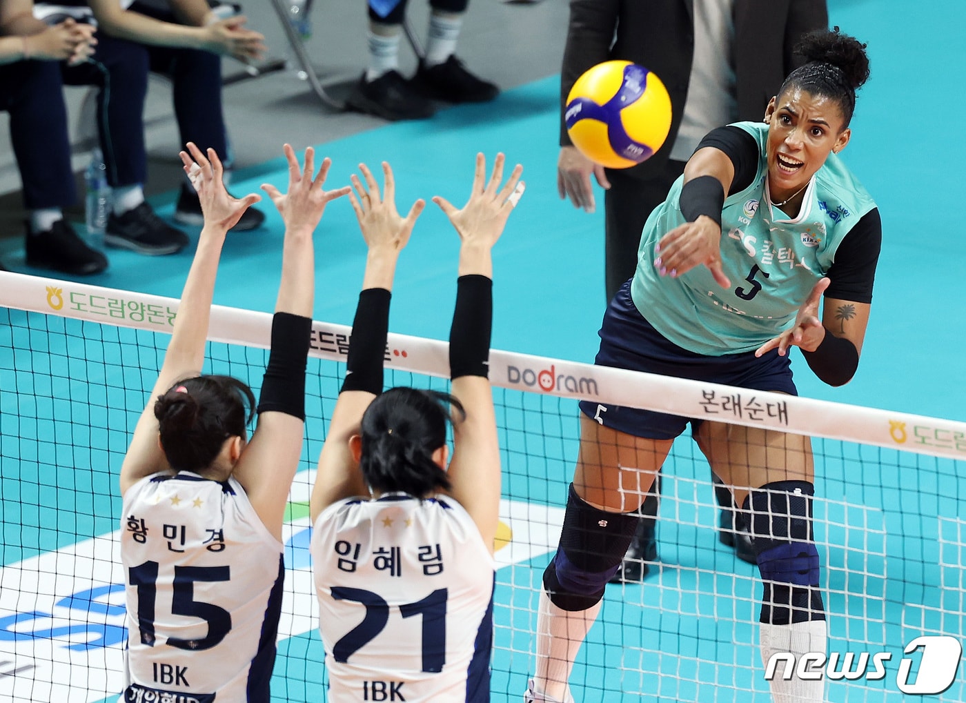 '실바 35점' GS칼텍스, IBK기업은행 제압…남자부 KB손보 11연패 - 뉴스1