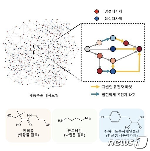 KAIST, 시뮬레이션 프로그램 '아이브릿지' 개발 - 뉴스1