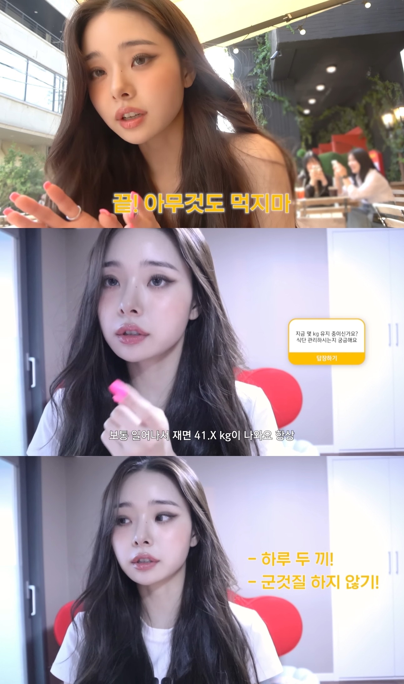 41 6㎏ 프리지아 하루 두끼…첫끼는 새벽 낮 1시 이후엔 아무것도 안먹어 뉴스1