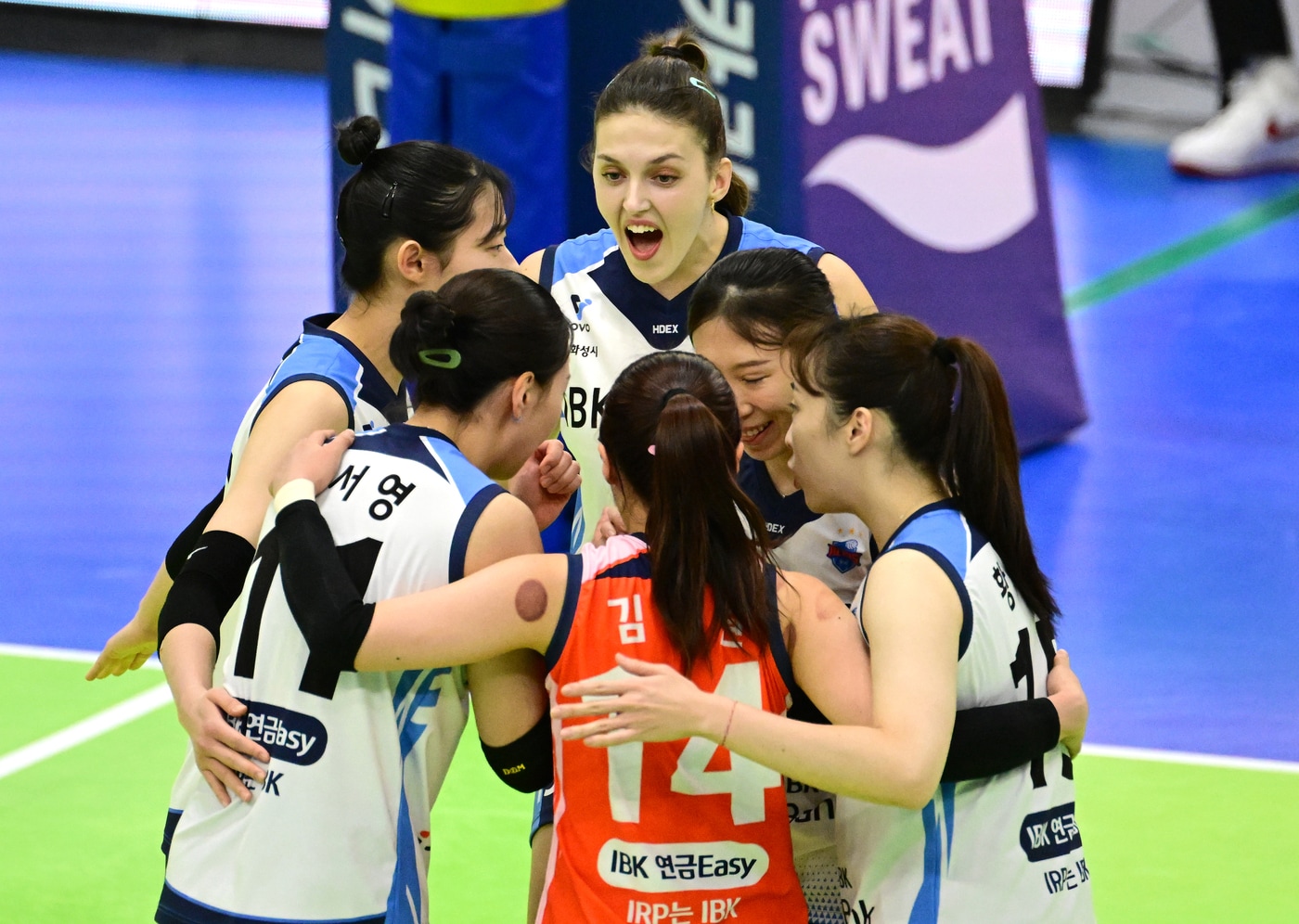 '5연승' IBK기업은행, 현대건설-흥국생명 양강 구도에 도전장 - 뉴스1