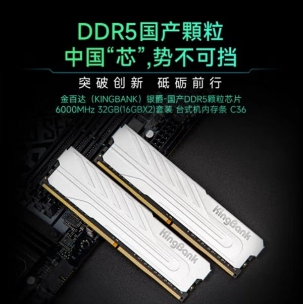 중국산 DDR5 굴기…"삼성·SK, HBM·CXL 차세대 메모리로 달아나야" - 뉴스1