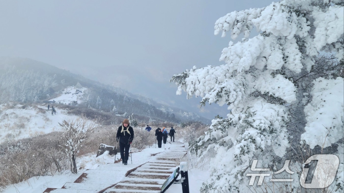 "여기가 겨울왕국" 지리산 노고단 눈부신 '설경' - 뉴스1