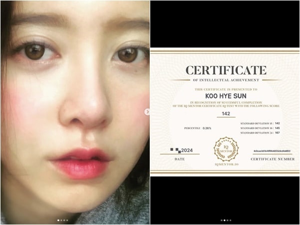 'IQ 167' 구혜선, 인증서 재차 공개 "검사 이유? 패턴 연구에 관심" - 뉴스1