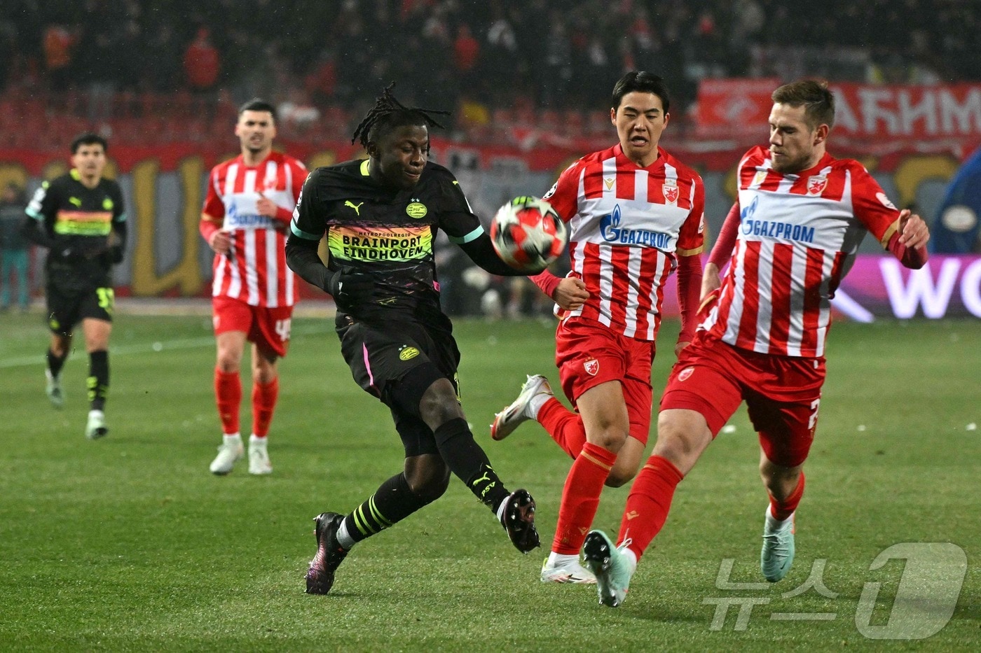 '설영우 71분’ 즈베즈다, PSV에 2-3 패배…UCL 16강 진출 실패 - 뉴스1