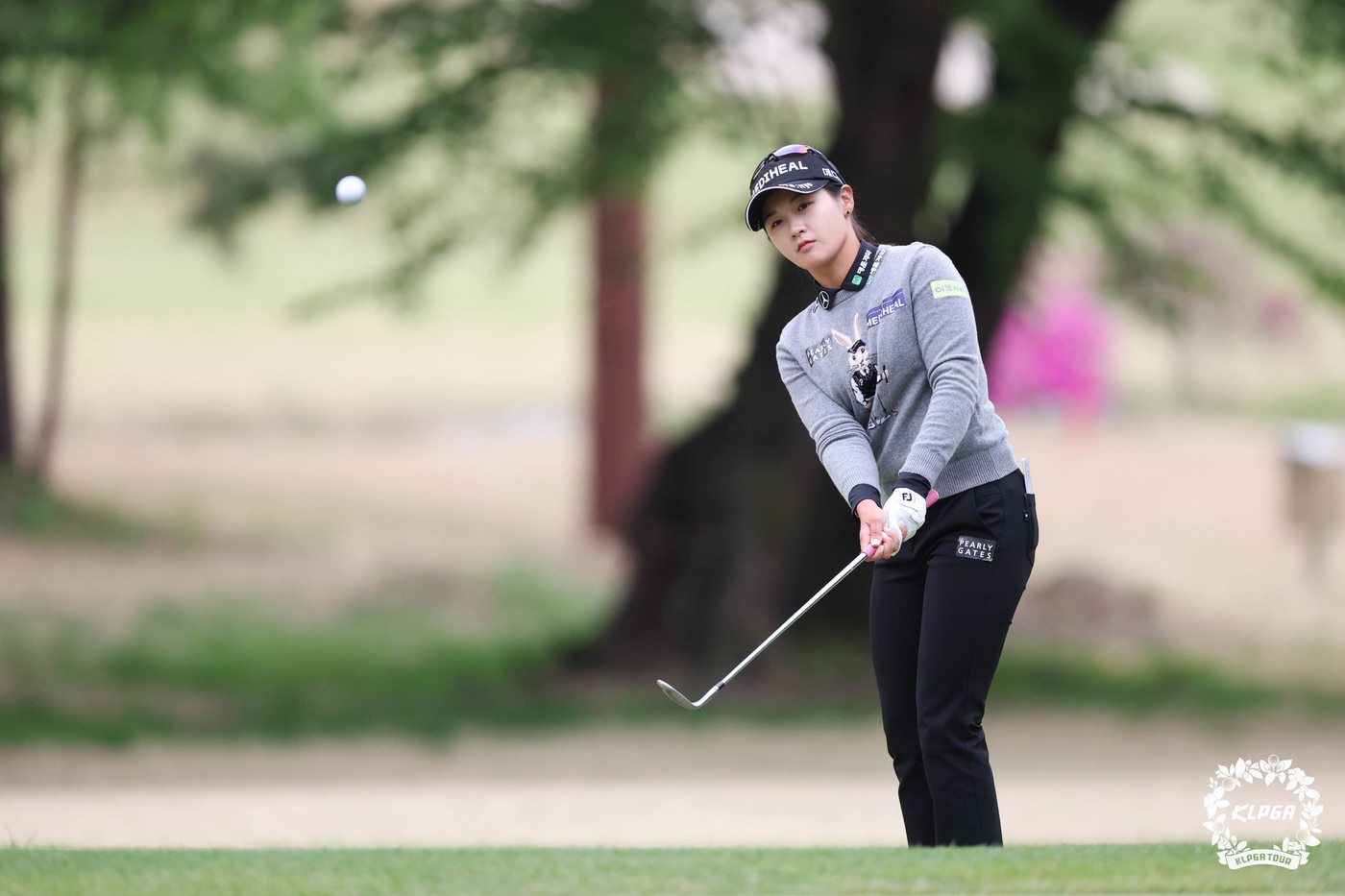 박현경, KLPGA 챔피언십 2R 공동 선두 도약…대회 통산 3승 도전 - 뉴스1