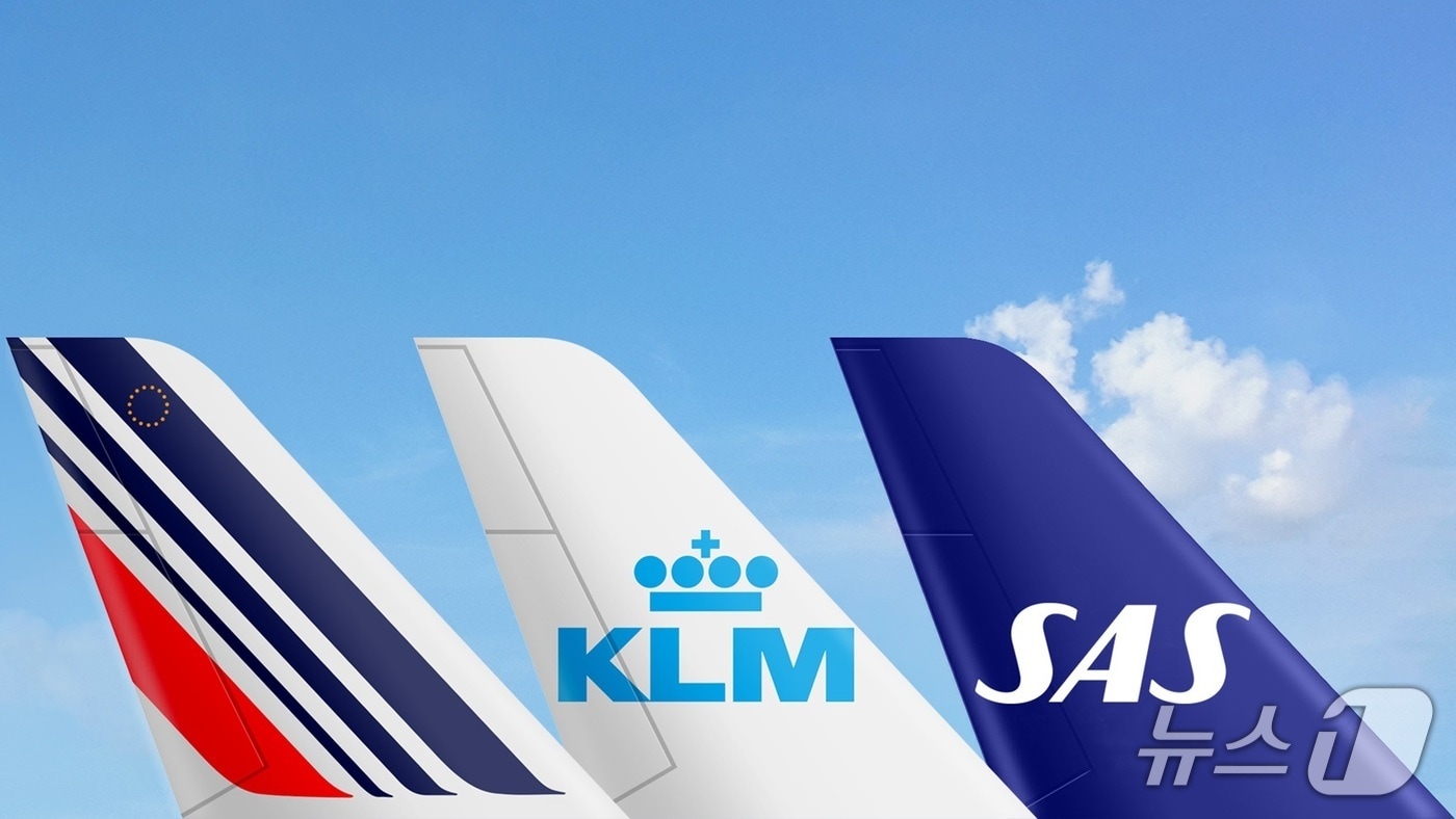 에어프랑스-KLM, SAS 지분 60% 확보 추진…북유럽 하늘도 품는다 - 뉴스1